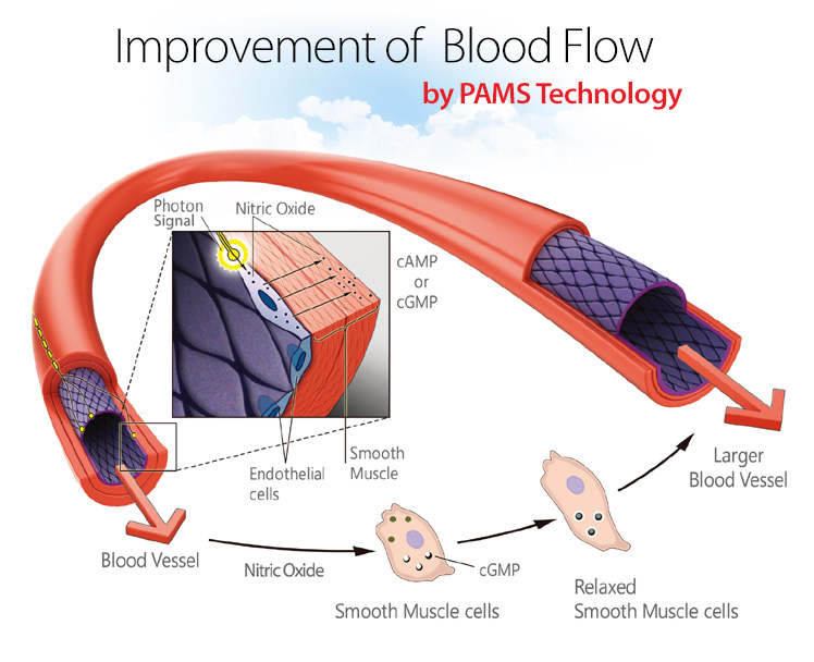 식약처·ISO·CE인증 생리통치료의료기기 우먼스트레스프리 공식스토어